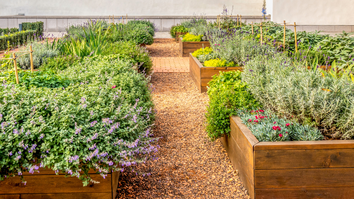 The Secret to Thriving Raised Beds: Castine Raised Bed Mix – Coast of ...